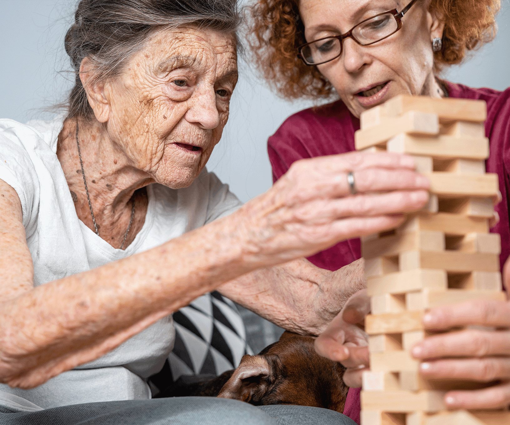 Defeating Dementia How Lifestyle Choices Can Reduce Your Risk Five